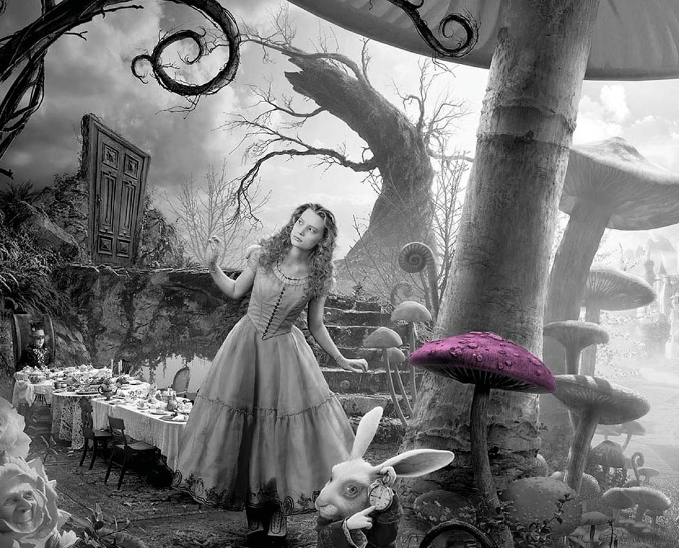 Peculiar Places | TCL