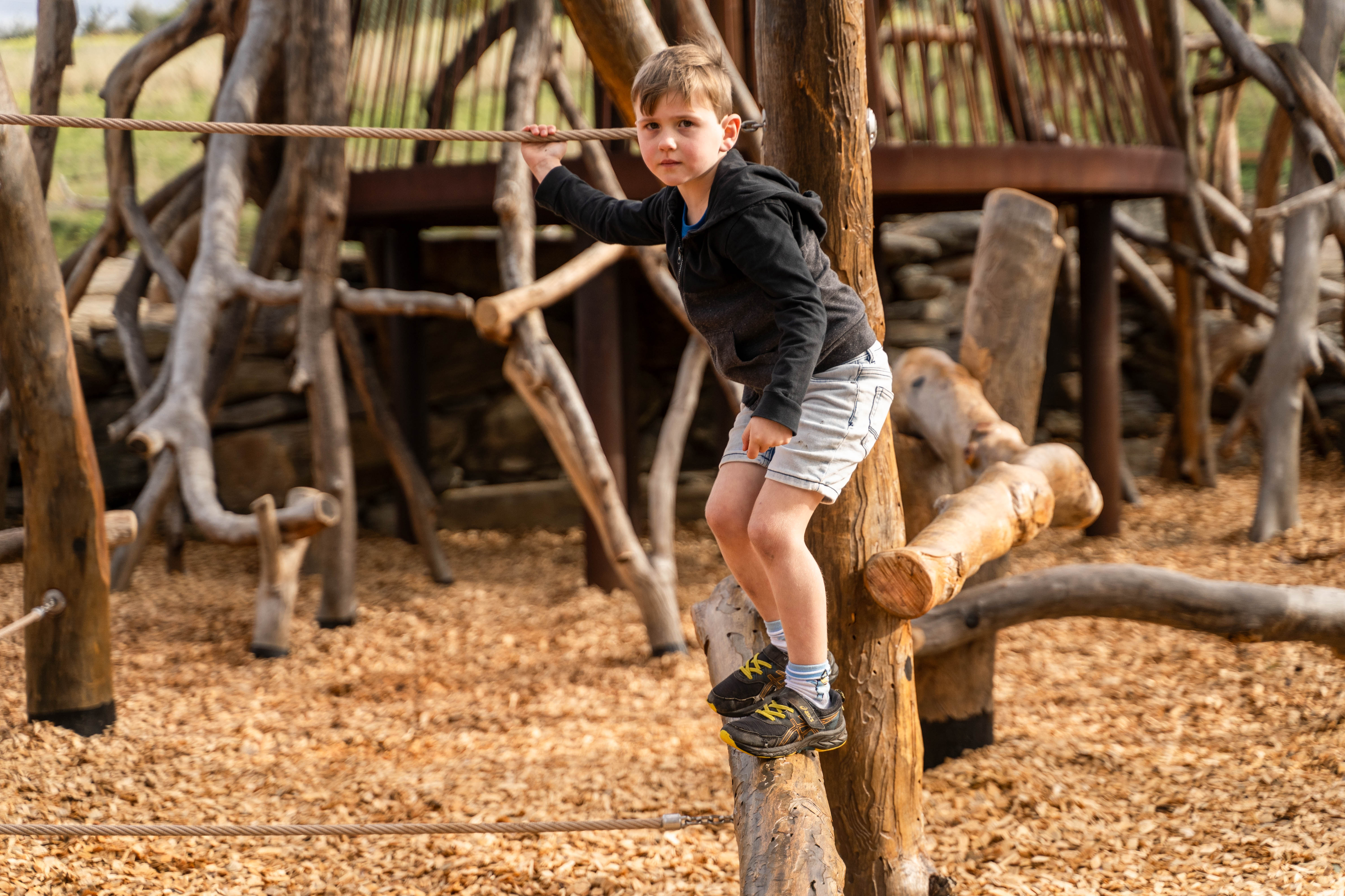 Glenthorne National Park Nature Playspace | TCL