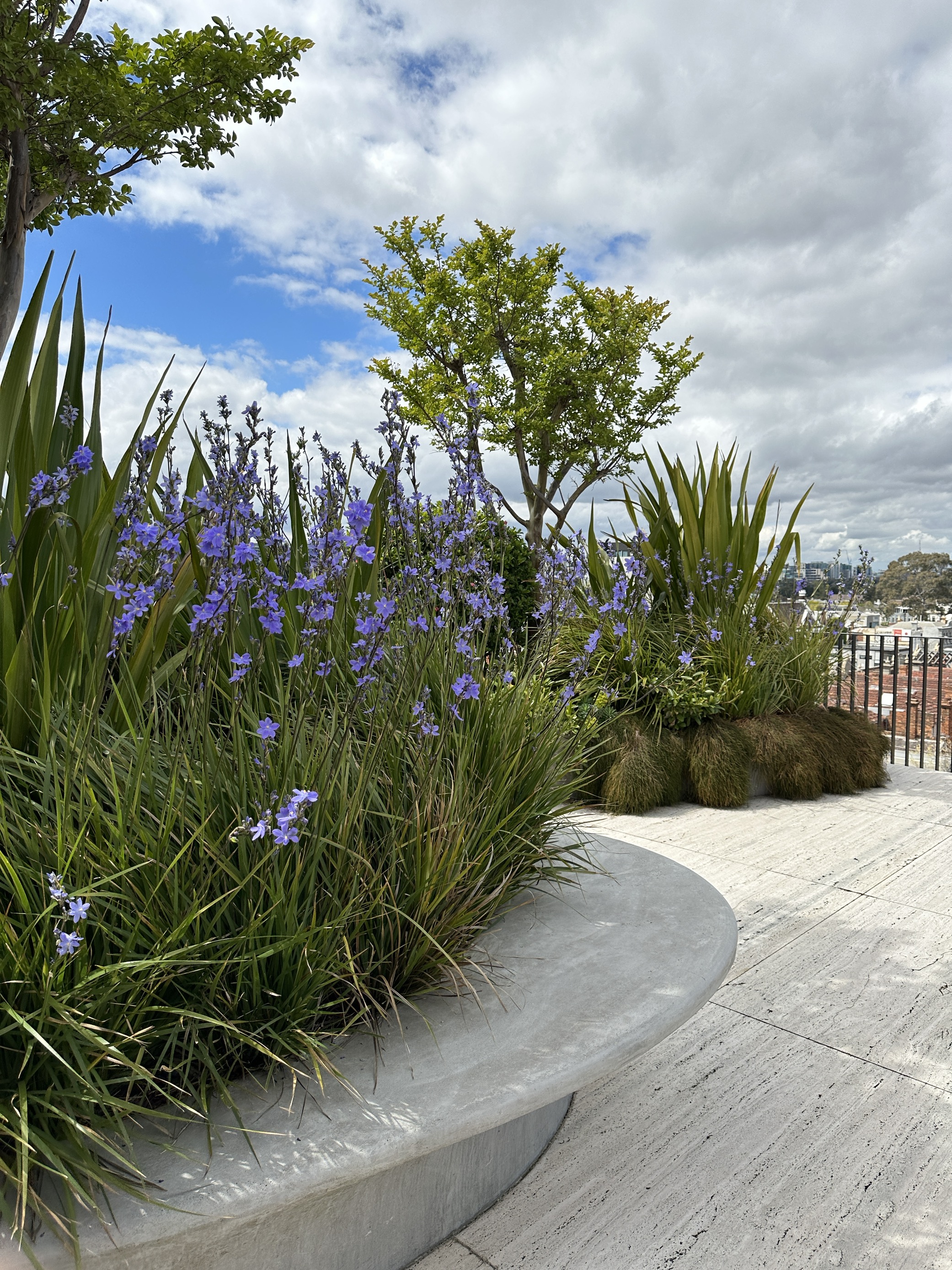 Piccolo Rooftop | TCL