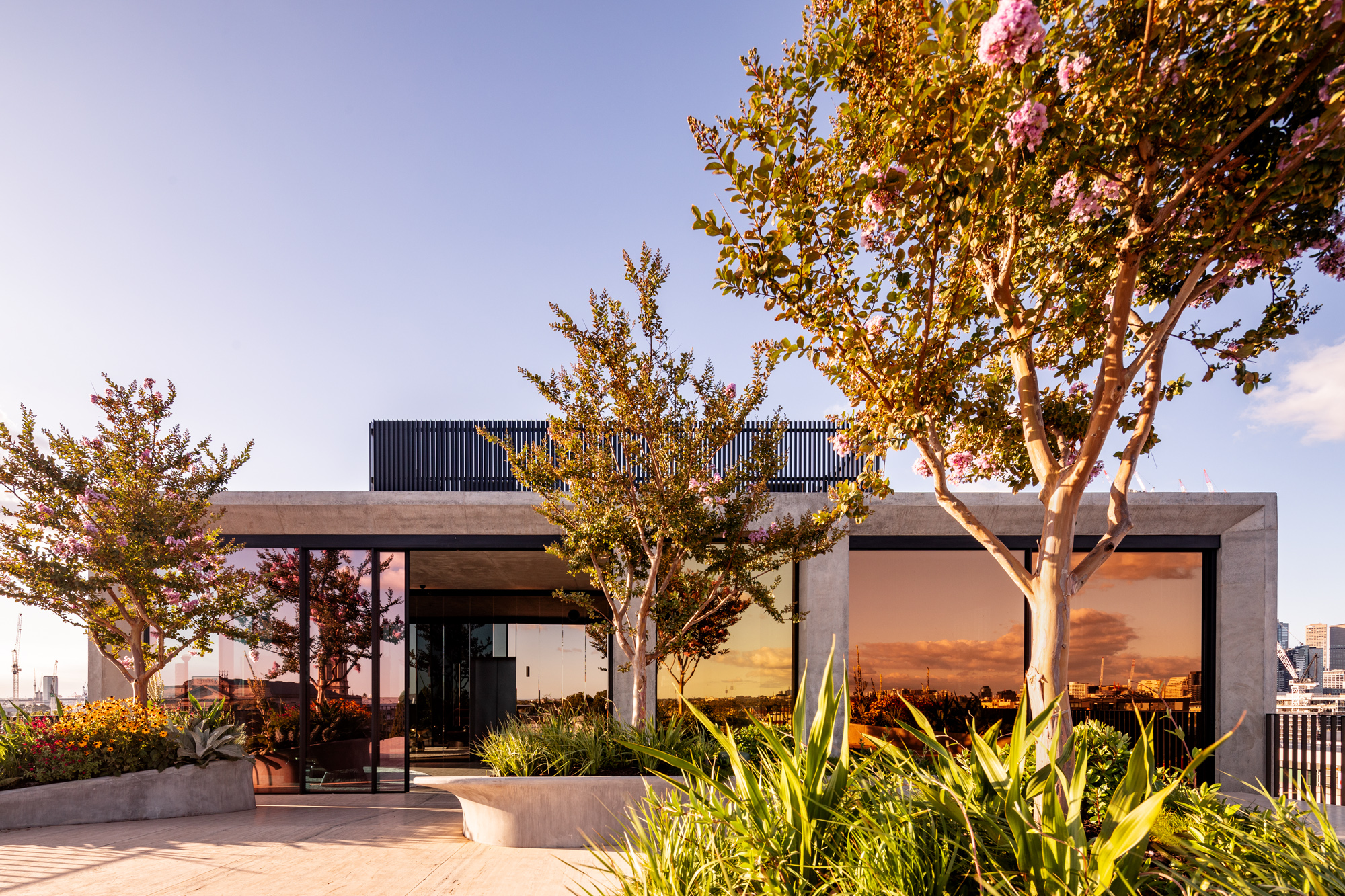 Piccolo Rooftop | TCL