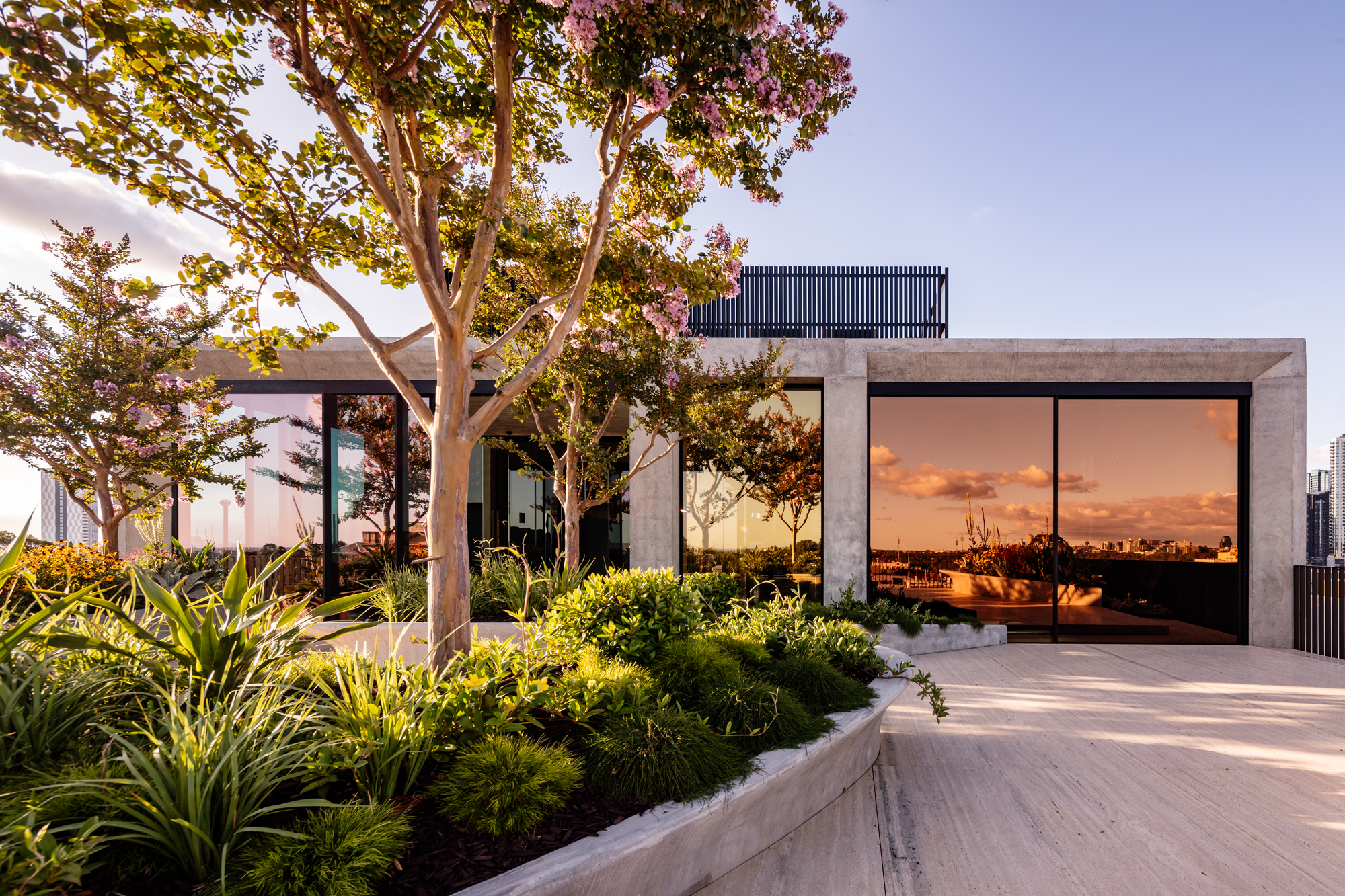 Piccolo Rooftop | TCL