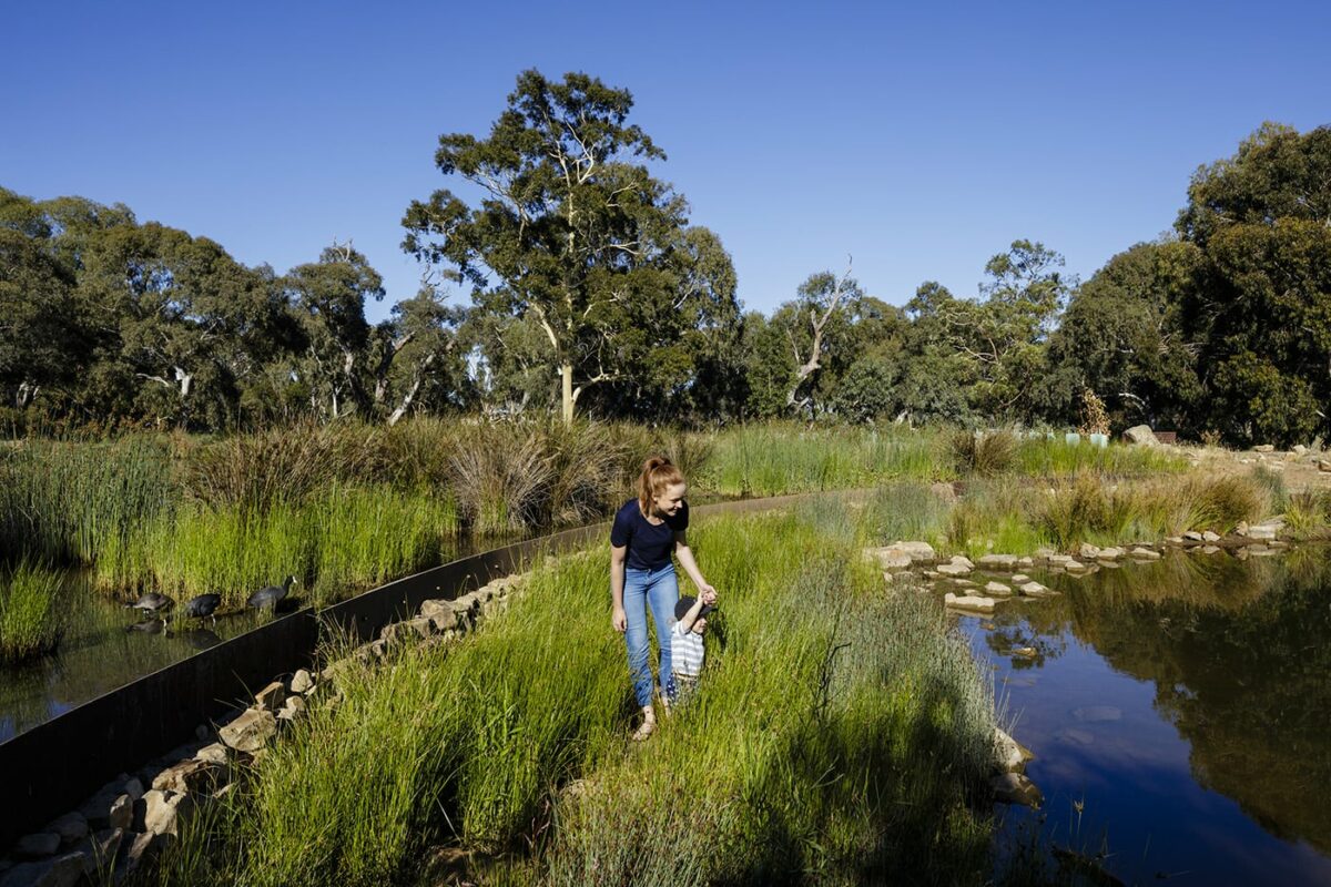 Oaklands Park and Wetland wins AILA Award of Excellence | TCL