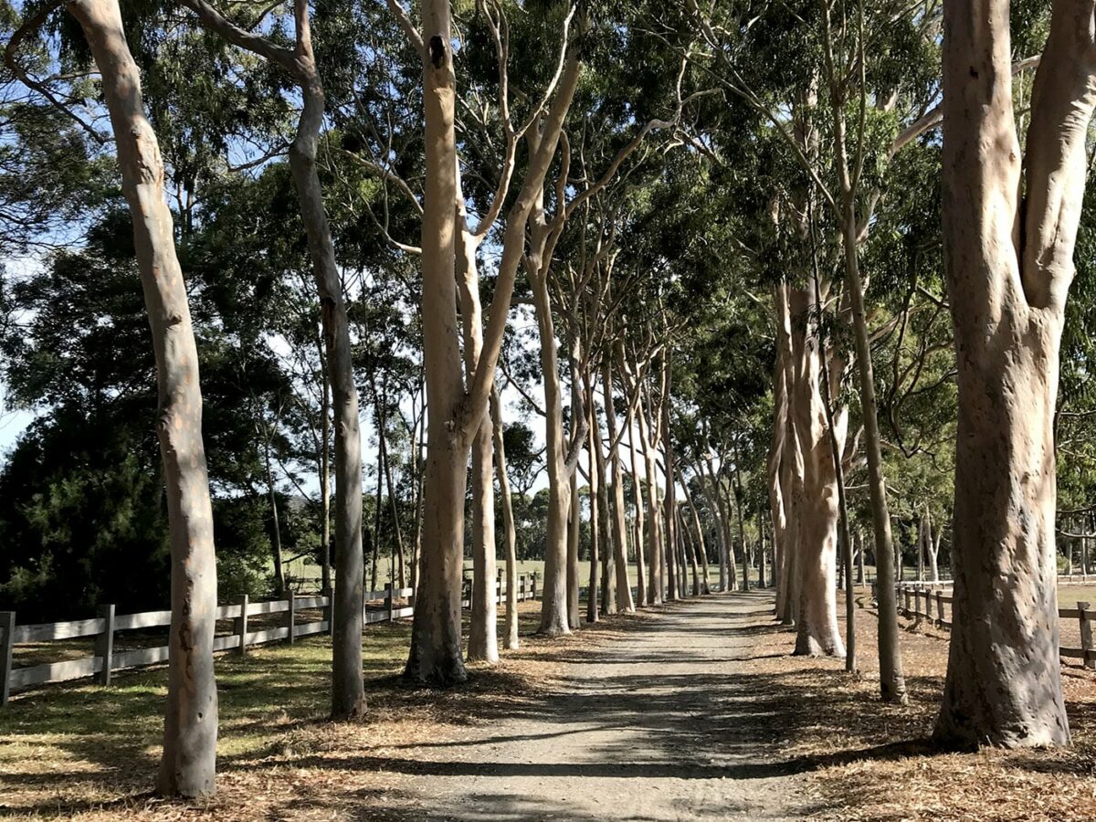 TCL and PEA to develop master plan for Cruden Farm | TCL