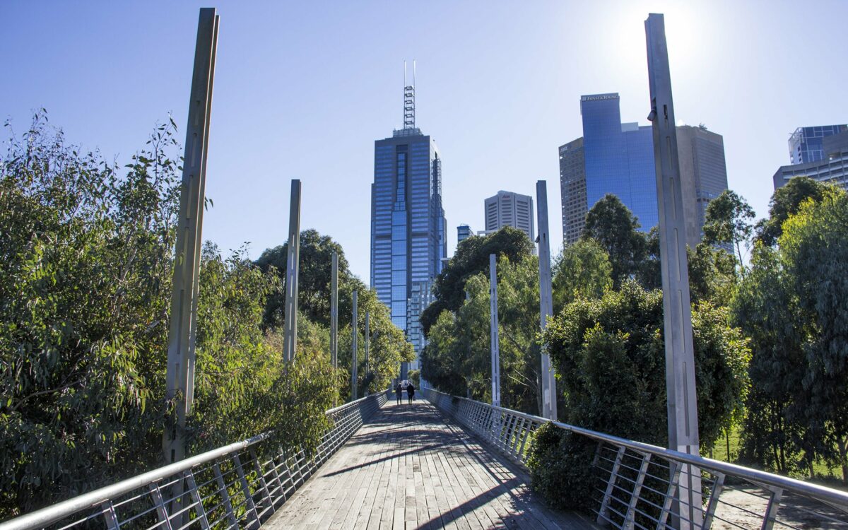 Perry Lethlean | TCL