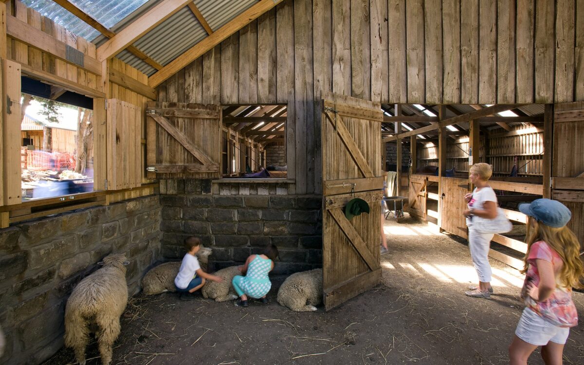 Collingwood Children's Farm | TCL