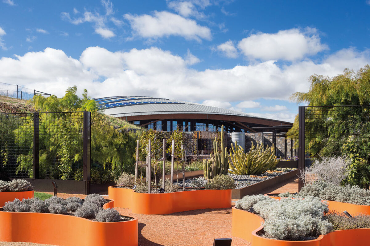 Discovery Garden: National Arboretum | TCL
