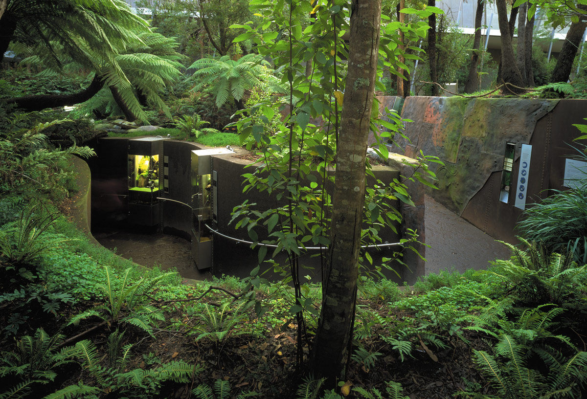 Forest Gallery | TCL