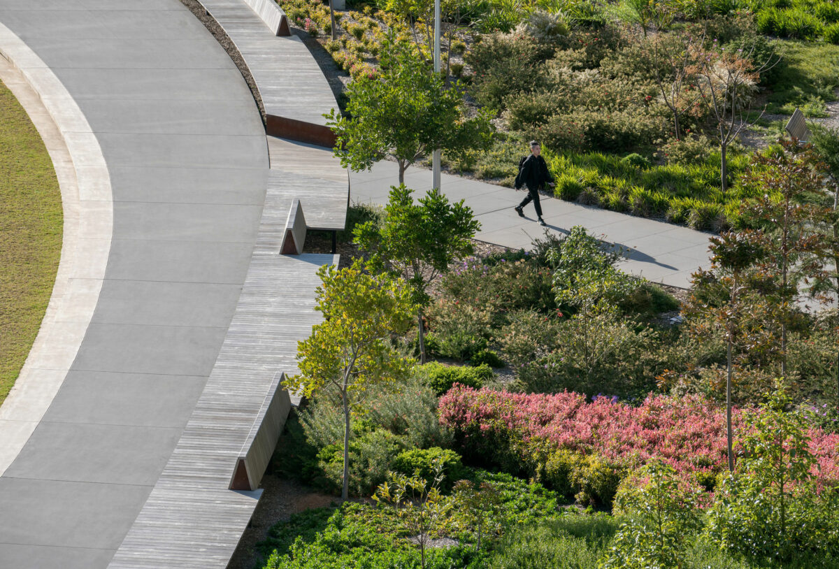Monash University Clayton Campus Eastern Precinct Landscape | TCL