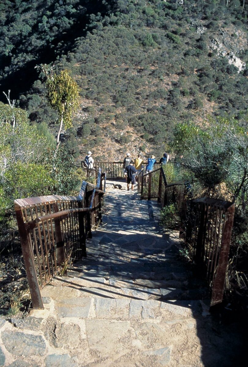 Morialta Walking Trails | TCL