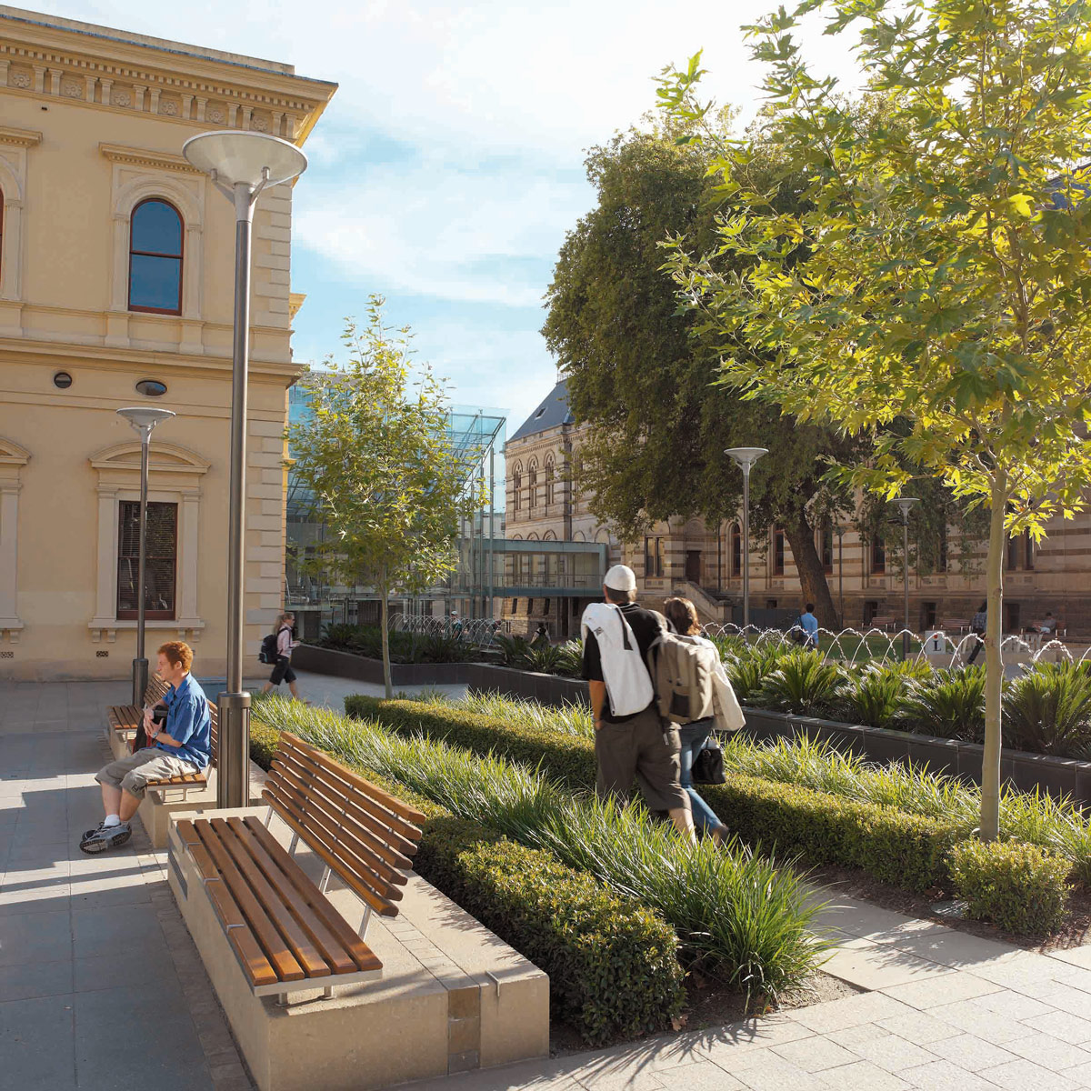 North Terrace Redevelopment | TCL