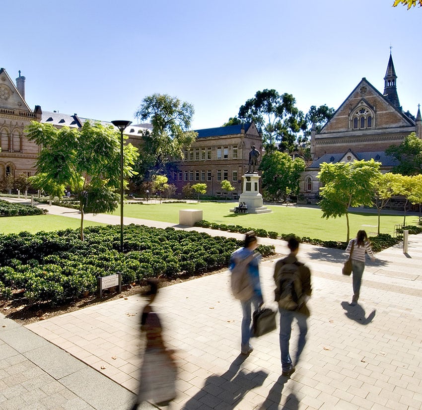 University of Adelaide | TCL