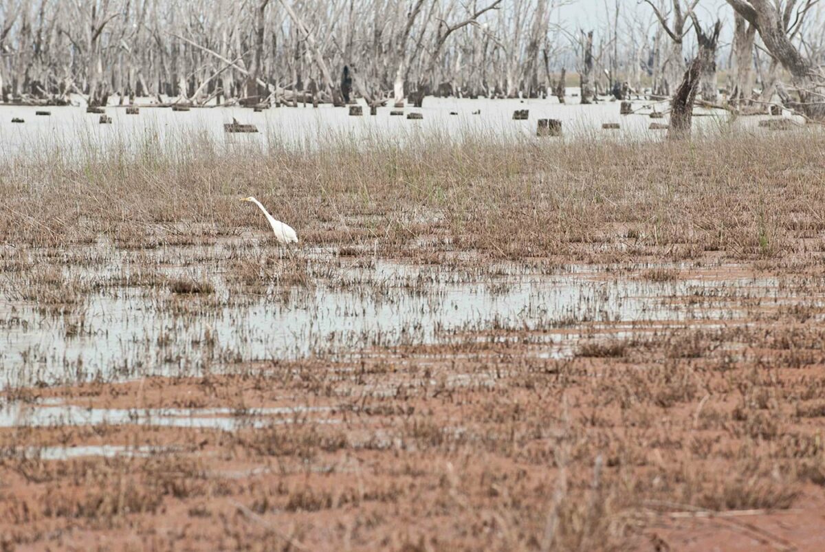 Winton Wetlands | TCL