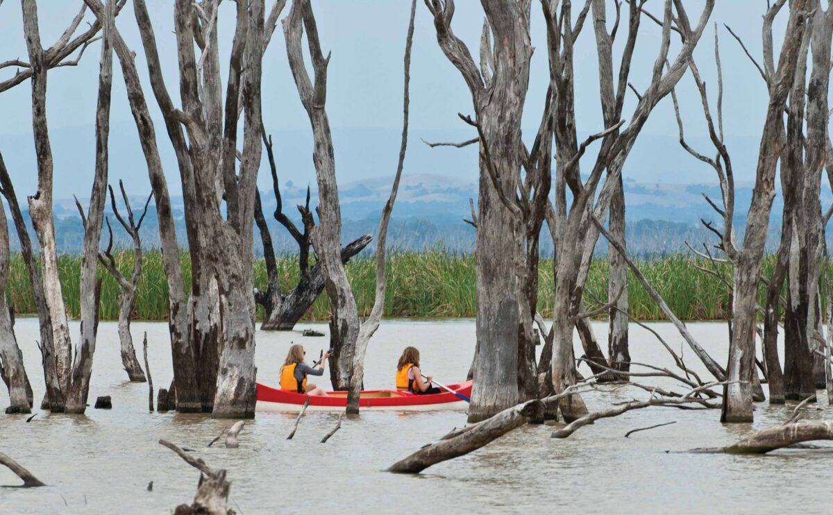 Winton Wetlands | TCL